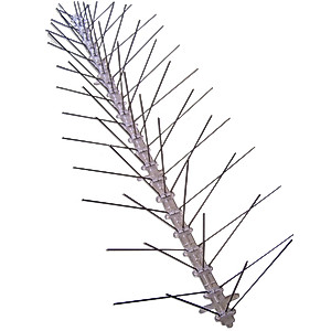 Bird-X Stainless Steel Bird Spikes, 8-inch Extra-Wide Spikes, Bird Spikes for Pigeons and Other Small Birds, Easy to Install, Contains 2 ft. Strips, Covers 100 Linear Feet Area, EWS-100
