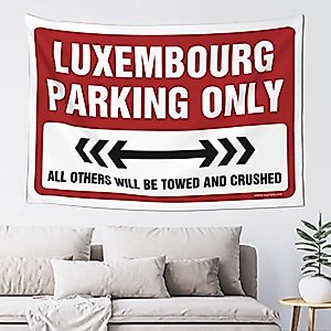 Man Cave Rules Luxembourg Parking Only Tapestry Space Decor Vintage Decor (Size : 75X100CM)