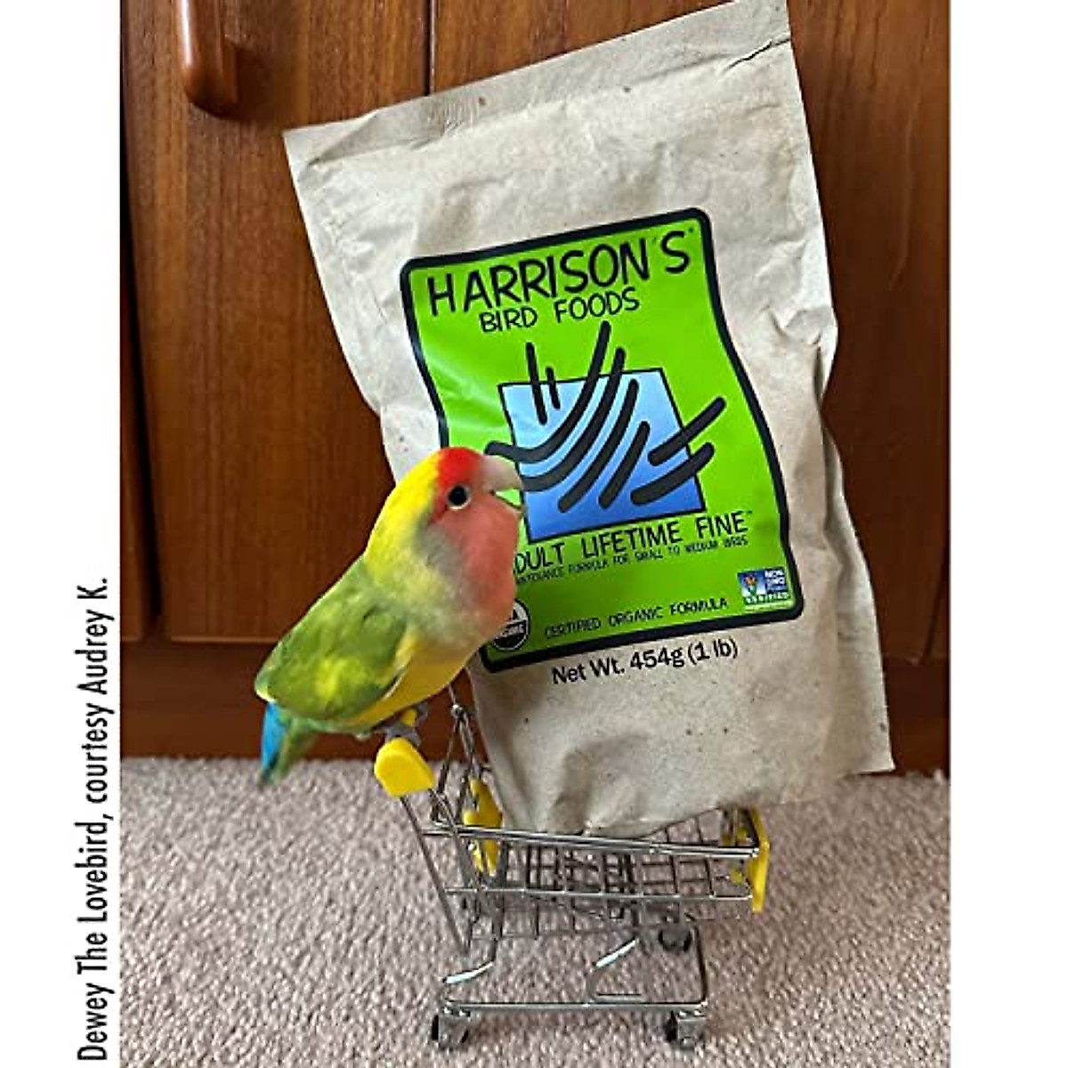 Harrison's Bird Foods Adult Lifetime Fine 1lb Certified Organic Formula