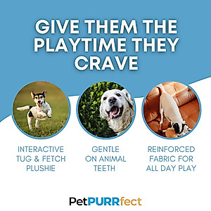 Pet PURRfect Squeaky Dog Toys: Durable Plush Dog Toys with Soft, Durable Fabric for Small and Medium Pets - Elephant Stuffed Dog Toy for Indoor Play!