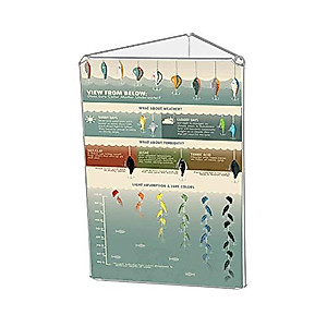 10 Pack Sign Holder Multi Sided 4 x 6 Inch Clear Acrylic Counter Signage Display Accommodates 3 Images for Bars Restaurants and Nightclubs by Marketing Holders