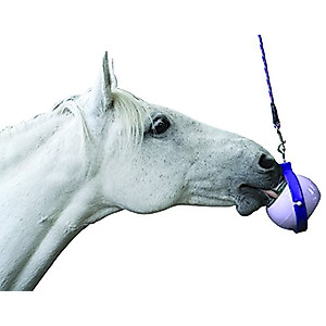 Manna Pro 1000033 284138 Likit Holder, Red