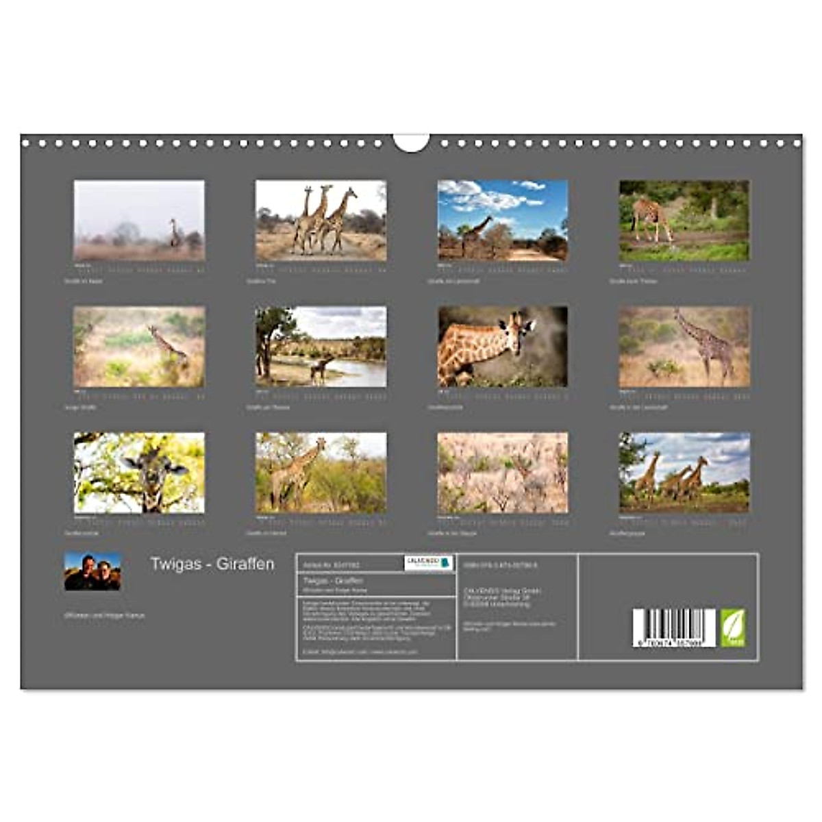 Twigas - Giraffen (Wandkalender 2023 DIN A3 quer), Calvendo 2023 monthly calendar