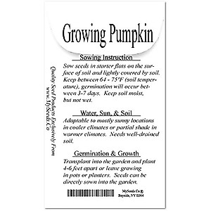 Big Pack (80-90+) Dill Atlantic Giant, Casper White, Cinderella Rouge VIF D'Etampes, & Jarrahdale Blue Pumpkin Seeds - Non-GMO Seeds by MySeeds.Co (Big Pack - Pumpkin Mix II)