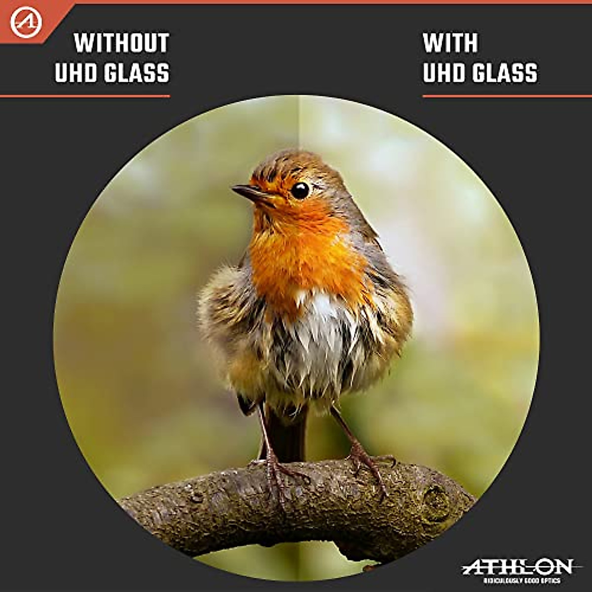 Athlon Optics 8x42 Midas G2 UHD Black Binoculars with Eye Relief for Adults and Kids, High-Powered Binoculars for Hunting, Birdwatching, and More