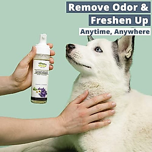 Paw Choice Dry Shampoo for Dogs - Waterless Dog Shampoo, No Rinse Foam Mousse - Removes Odor, Cleans, and Conditions - Hypoallergenic & Natural Dry Dog Shampoo - Made in USA, Lavender Chamomile Scent