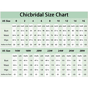 Chicbridal Lace Appliques Ball Gowns Spaghetti Straps Long Tulle A-Line Prom Dresses for Women Wisteria US8
