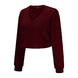 Casual Long Sleeve Tunic Tops Loose Fit Pleated Winter T-Shirt Blouses for Women Women Long Sleeve Tops Dressy Casual