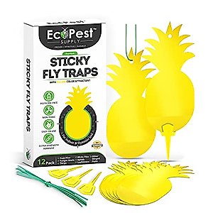 Sticky Fruit Fly and Gnat Traps – 12 Pack | Yellow Fly Paper Trap for House Plants and Gnat Sticky Traps for Fruit Flies, Fungus Gnats, and Other Flying Insects | Indoor and Outdoor Fly Tape