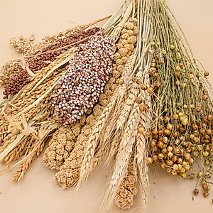 NICERINC PET Natural Ear of Grain Flower&Herb Bedding Mate Habitat Decor, Adding Fun Hamster Accessories for Hamsters Gerbils Lemming