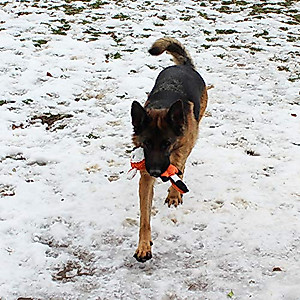 Jalousie 5 Pack Value Bundle Dog Toys Assortment Dog Plush Toys Dog Squeaky Toys Assortment Puppy Pet Mutt Dog Toy Dog Squeak Toy for Medium Large Dogs