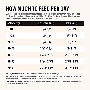 The Honest Kitchen Whole Food Clusters Grain Free Turkey Dry Dog Food, 1 lb Trial Pouch