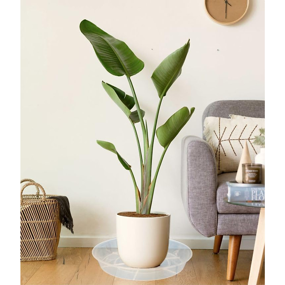 Afrine 4 Pack Plant Saucer Drip Tray 18 19 inch, Plant Drip Trays, Heavy Sturdy Plastic Planter Pot Saucers for Indoor Outdoor Garden, Plant Water Drip Trays for pots (19" 4Pack, Clear)