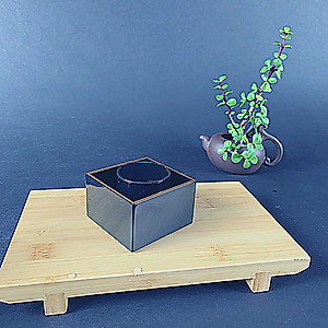 JapanBargain 4808, Masu Cups Japanese Sake Cups Plastic Lacquer Saki Cups, Made in Japan, Black Color Gold Rim, Set of 4