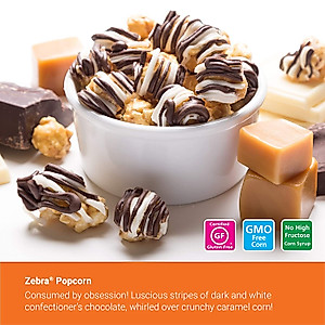 Popcornopolis Gourmet Popcorn – Premium Pack of 4 Popcorn Mini Cones & Exclusive Inspirational Sticker! Small Storage Space Friendly & Great Stocking Stuffers!