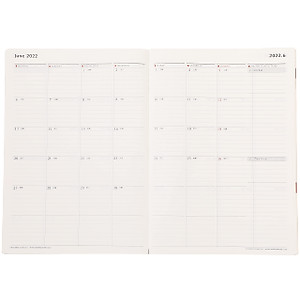 Franklin Planner Organizer, 1 Page a Day Uncovered, January 2022, A5 65393