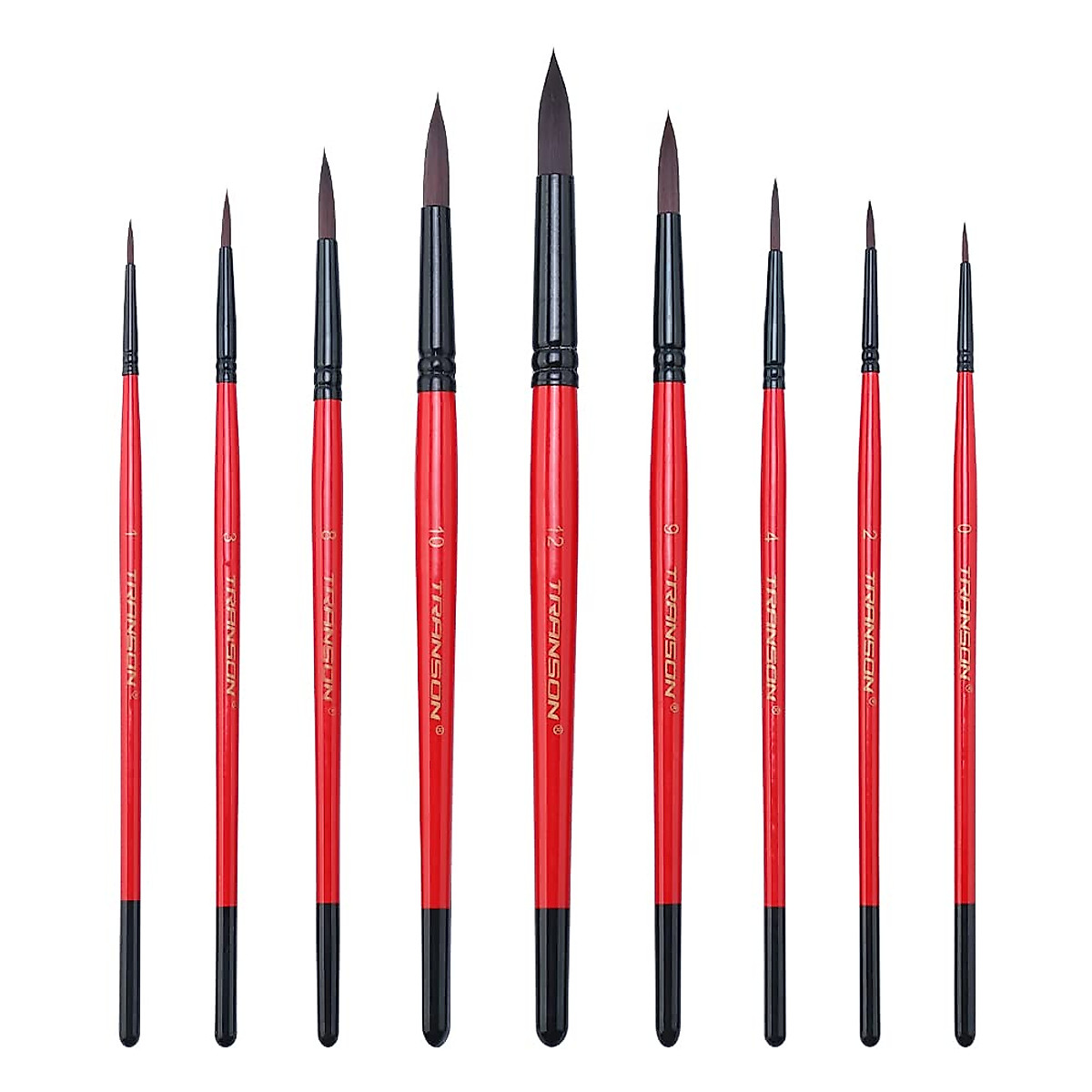 Transon Round Paint Brush Set 9pcs Synthetic Sable Hair for Acrylic Painting Watercolor Painting Gouache Ink Craft and Detail Painting