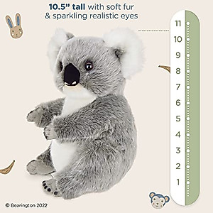 Bearington Lil’ Joey Koala Bear: Stuffed Plush Koala, Ultra-Soft 10.5” Plush Toy, Made with Premium Fill, Expressive Face and a Velour Belly; Machine Washable, Great Gift for Animal Lovers