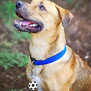 Mikikit 2pcs Portable Shockproof Tracer Covers Locator Cases Tracer Cases Covers Tracer Cases