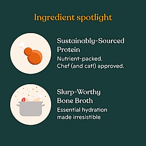 Made by Nacho Wet Cat Food Broth Meal Topper, Cage-Free Shredded Chicken in Bone Broth for Extra Hydration, Limited-Ingredient Sensitive Diet, 24 Pouches 2.5oz