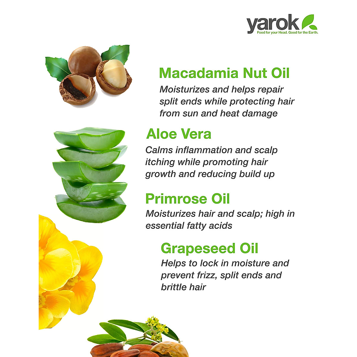 Yarok - Feed Your Volume Shampoo - Volumize, Lift & Moisturize - Nourishing & Moisturizing Cleanse - With Aloe Vera & Macadamia Nut Oil - 100% Vegan - Gluten, Sulfate, Paraben & Cruelty Free - 8.5oz
