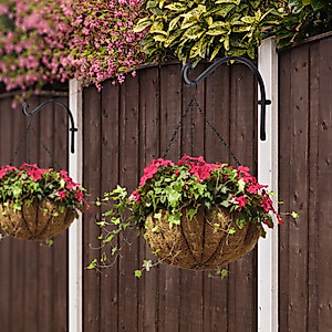 Qiang Ni Outdoor Bird Feeder Hanger Hooks: 12-Inch Wall Hanging Plant Bracket Indoor - 2 Pieces Plant Hooks for Hanging Flower Baskets