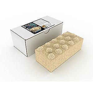 Brightwell Aquatics Xport NO3 Brick - Ultra-activated Denitrification Brick Media doped with Elemental Sulfur for Superior Performance in Filtration Media