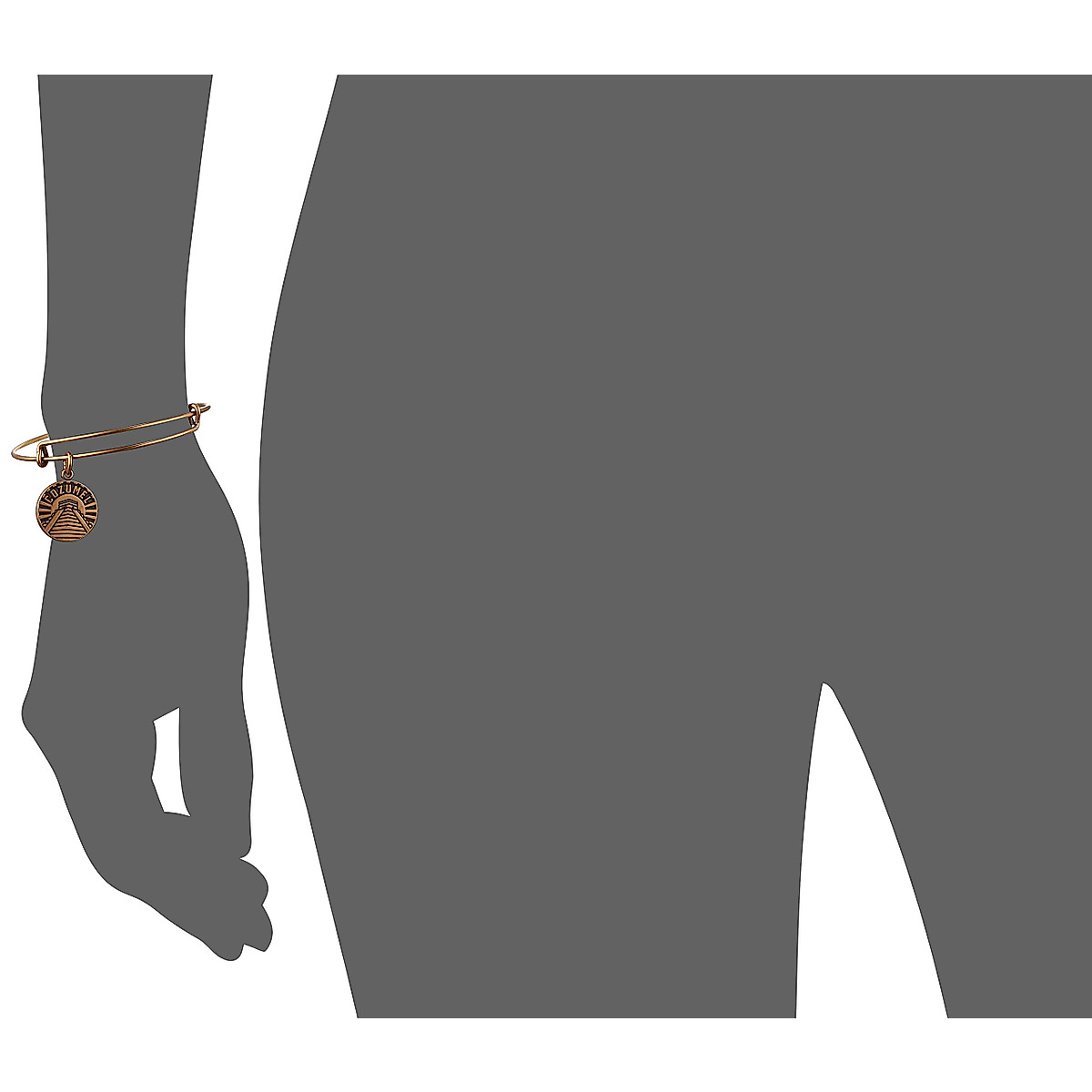 Alex And Ani Replenishment 19 Women's Cozumel, Charm Bangle, Rafaelian Gold