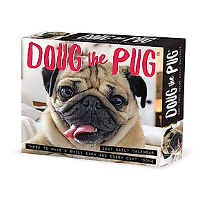 Doug the Pug 2021 Box Calendar (Dog Breed Calendar)