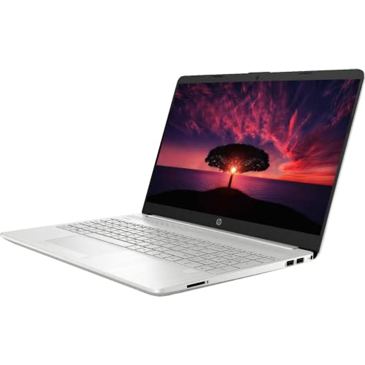 HP 15 Business Laptop, 15.6" FHD IPS Display, Intel Core i3-1115G4, Windows 11 Pro, 8GB RAM 256GB SSD, Fingerprint, HDMI, WIFI,32GB Durlyfish USB Card