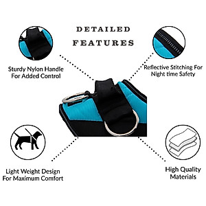 ShawnCo Essential Dog Harness, No-Pull Pet Vest with 3 Leash Clips, No Choke, Reflective, Adjustable and Padded, for Easy Walking and Training for Small, Medium and Large Dogs (Rose Gold, L)