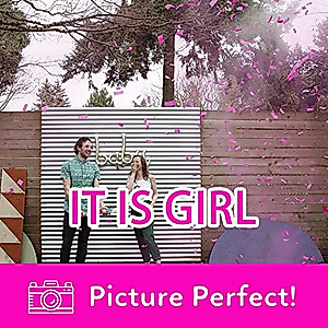 6 Pack Gender Reveal Confetti Powder Cannon,12 Inch Confetti cannon Set of 6 Mixed (3 Blue 3 Pink) Gender Reveal Party Supplies Gender Reveal Ideal for Pregnancy Announcement