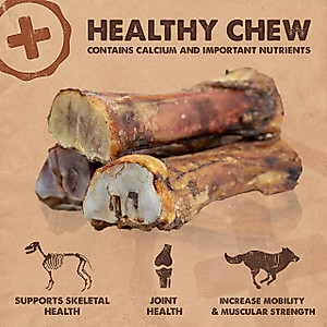 Downtown Pet Supply - Dog Bones for Aggressive Chewers - Natural Beef Bones for Dogs - Beef Marrow, Calcium, Glucosamine & Chondroitin for Joint Health - Dog Dental Chew - Craft Cut Shin Bone - 1Ct