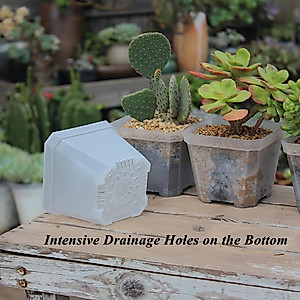 BangQiao 30 Pack Small 3.90 Inch Plastic Square Nursery Pot, Plant Starting and Transplant Planter Container with Drainage Hole for Seed Germination, Clear