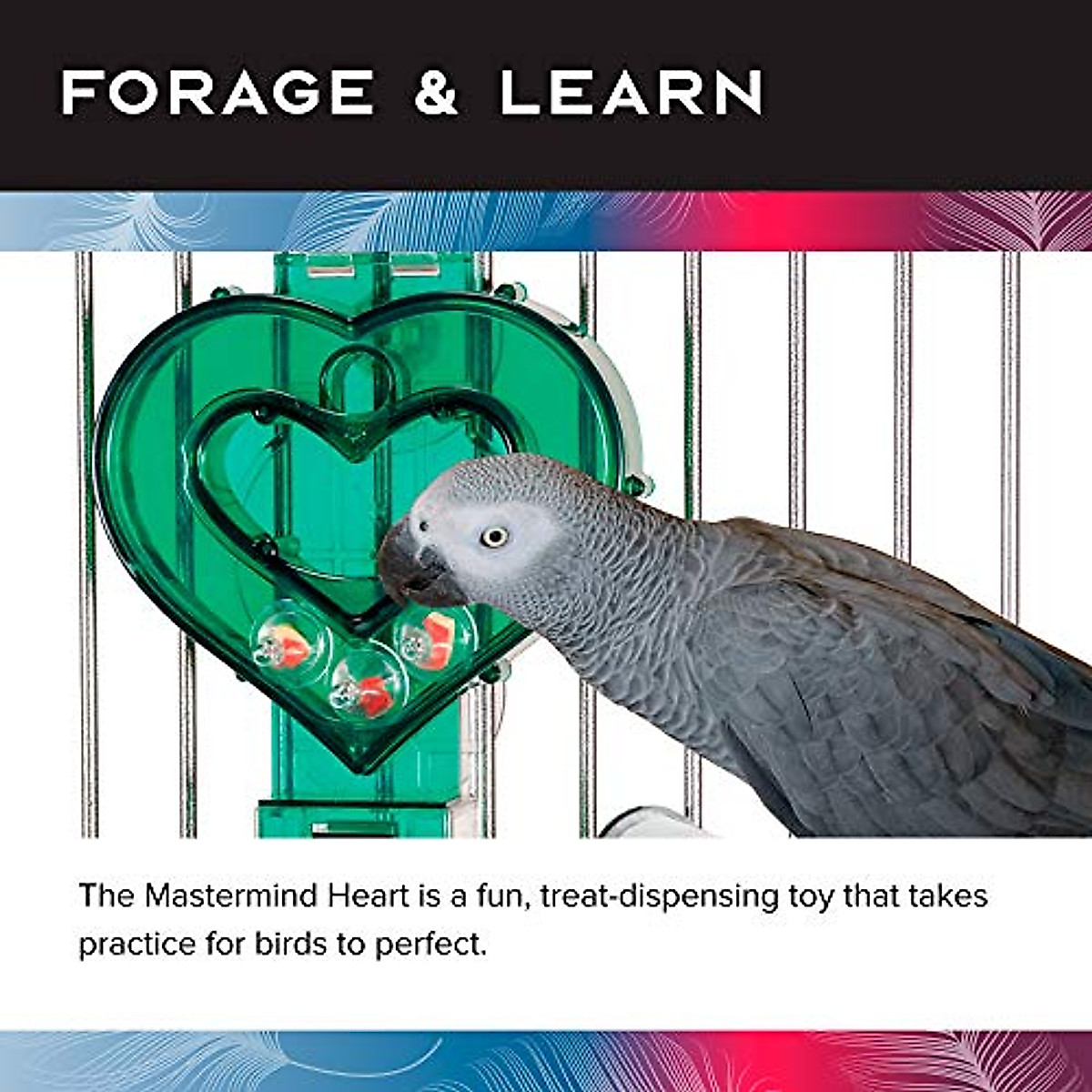 Featherland Paradise | Creative Foraging Systems Mastermind Heart, Interactive Cage-Mounted Bird Treat Toy