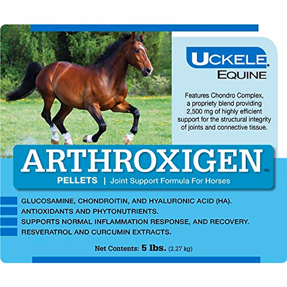 Uckele Arthroxigen Pellets - Joint Supplement Formula for Horses - Eqiune Vitamin & Mineral Supplement - Competition Ready - 5 Pound (lb)