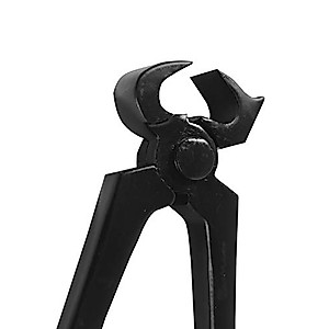 Equinez Tools Hoof Nipper Trimmer Cutter Farrier Tools | Premium Quality 5 Year Guarantee