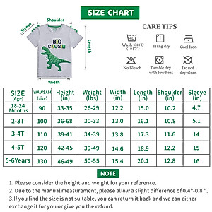 WAWSAM Dinosaur Big Cousin T-Shirt Birthday Boy Shirt for Toddler Boys of The Matching Family Short Sleeve Grey, 4-5T