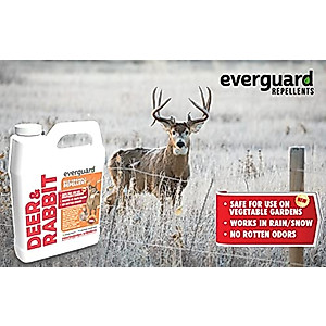 Everguard ADPC032 Concentrated Deer and Rabbit Repellent