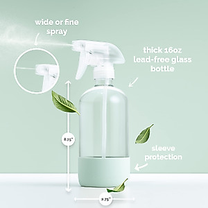 Vine Creations Glass Spray Bottles for Cleaning Solutions, Clear Glass Spray Bottle with Silicone Sleeve, 16 oz Empty Spray Bottles for Cleaning, Plant Spray Bottle, Cleaning Spray Bottle - 2 Pack