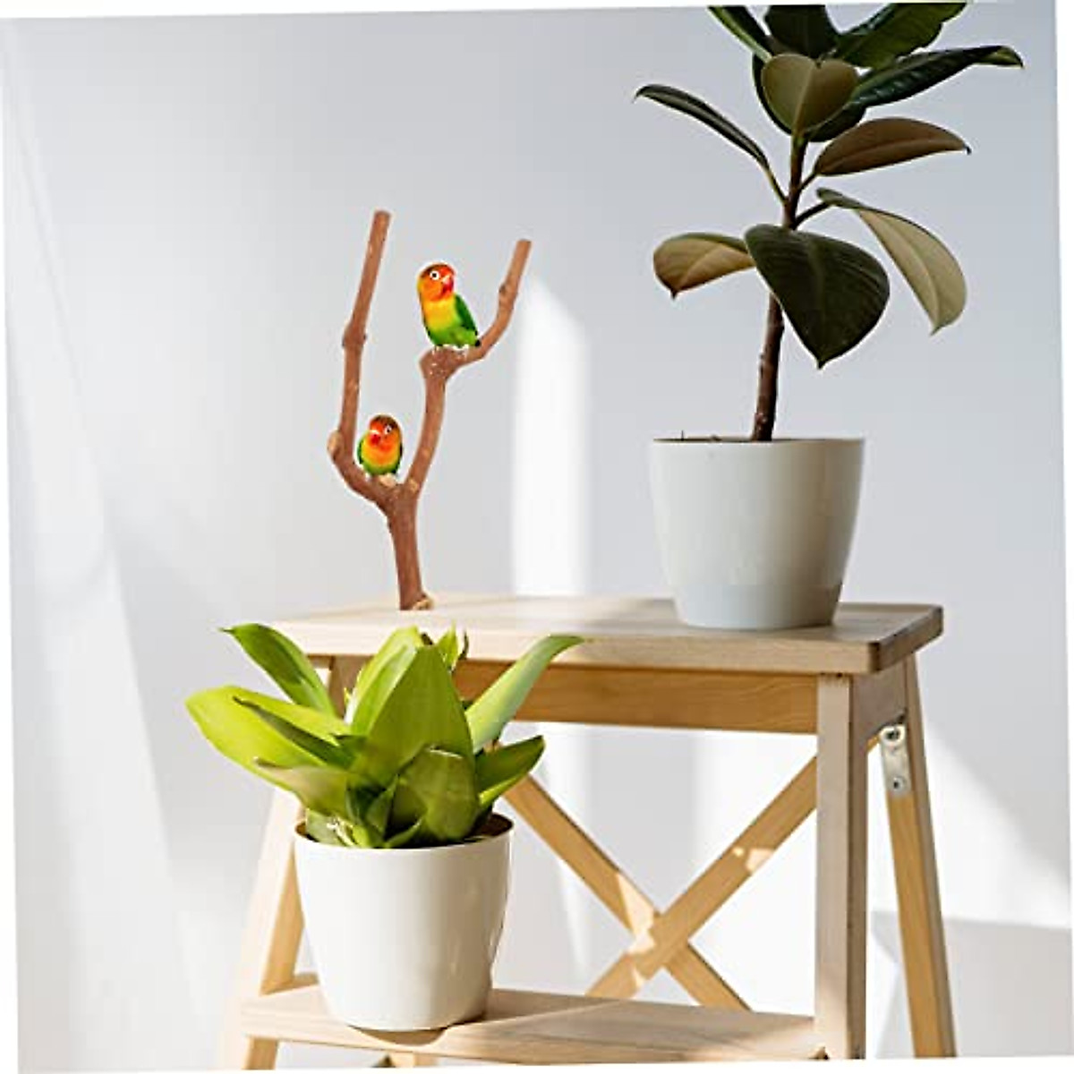 Budgie Cage Accessories Bird Screw Mount Toy- Bird Perch can Help Increase Pets' Activity Space, a Nice Toy for Parrot. It Will give Them a Good Experience.