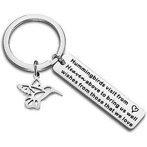 HOLLP Hummingbird Keychain Free Bird Jewelry Humming Bird Lover Keyring Gift For My Love Wishes Jewelry Hope Gift (keychain)