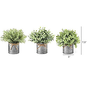 Mkono Mini Fake Plants in Farmhouse Galvanized Metal Pots Table Centerpiece Rustic Home Decor, 3 Pack Lightweight Potted Artificial Plants Faux Eucalyptus for Indoor Shelf Dining Room Office Decor