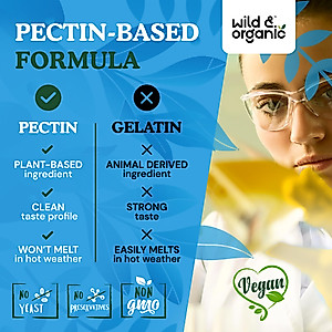 Wild & Organic Brain Support Gummies - Focus Supplement w/Ashwagandha Root, Vitamin B12, Ginkgo Biloba, Bacopa - Vegan Chews for Clarity & Productivity - 60 Brain Gummies