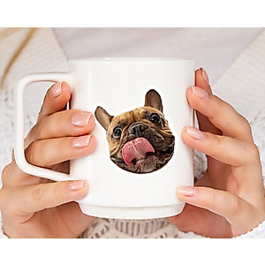 Personalized Face Stickers - Portrait | Sheet with 14 Stickers | Customized - Picture Decals | Waterproof | Funny Photo Stickers | Fancy Gift Idea