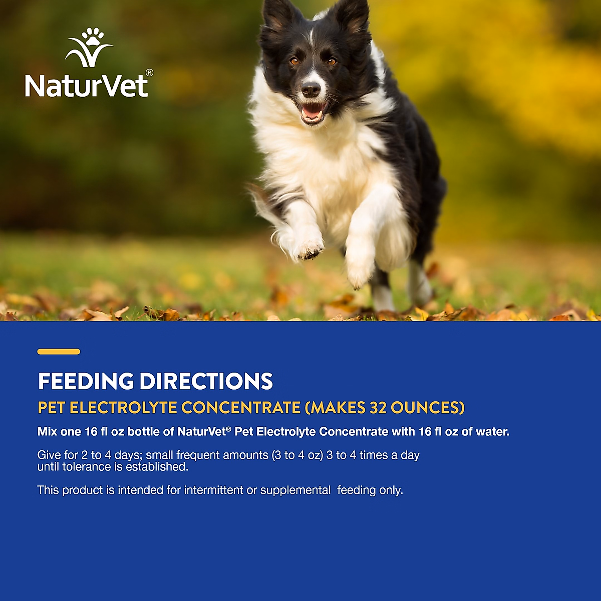 NaturVet Pet Electrolyte Concentrate for Dogs and Cats, 16 oz Liquid Concentrate, Made in The USA with Globally Source Ingredients