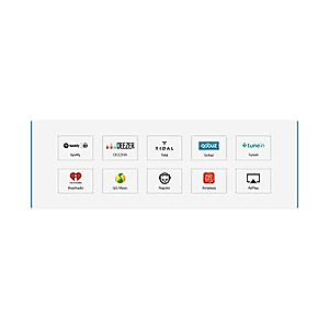 Arylic S10 WiFi & Bluetooth 5.0 preamplifier/Audio Receiver, Wireless multiroom/multizone Home Stereo Music Receiver Circuit Module with Airplay，Spotify Connect and Remote Control for DIY Speakers