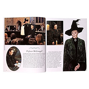 Incredibuilds Harry Potter Sorting Hat 3D Wood Puzzle & Model Figure Kit (64 Pcs) - Build & Paint Your Own 3-D Book Movie Toy - Holiday Educational Gift for Kids & Adults, No Glue Required, 10+ 