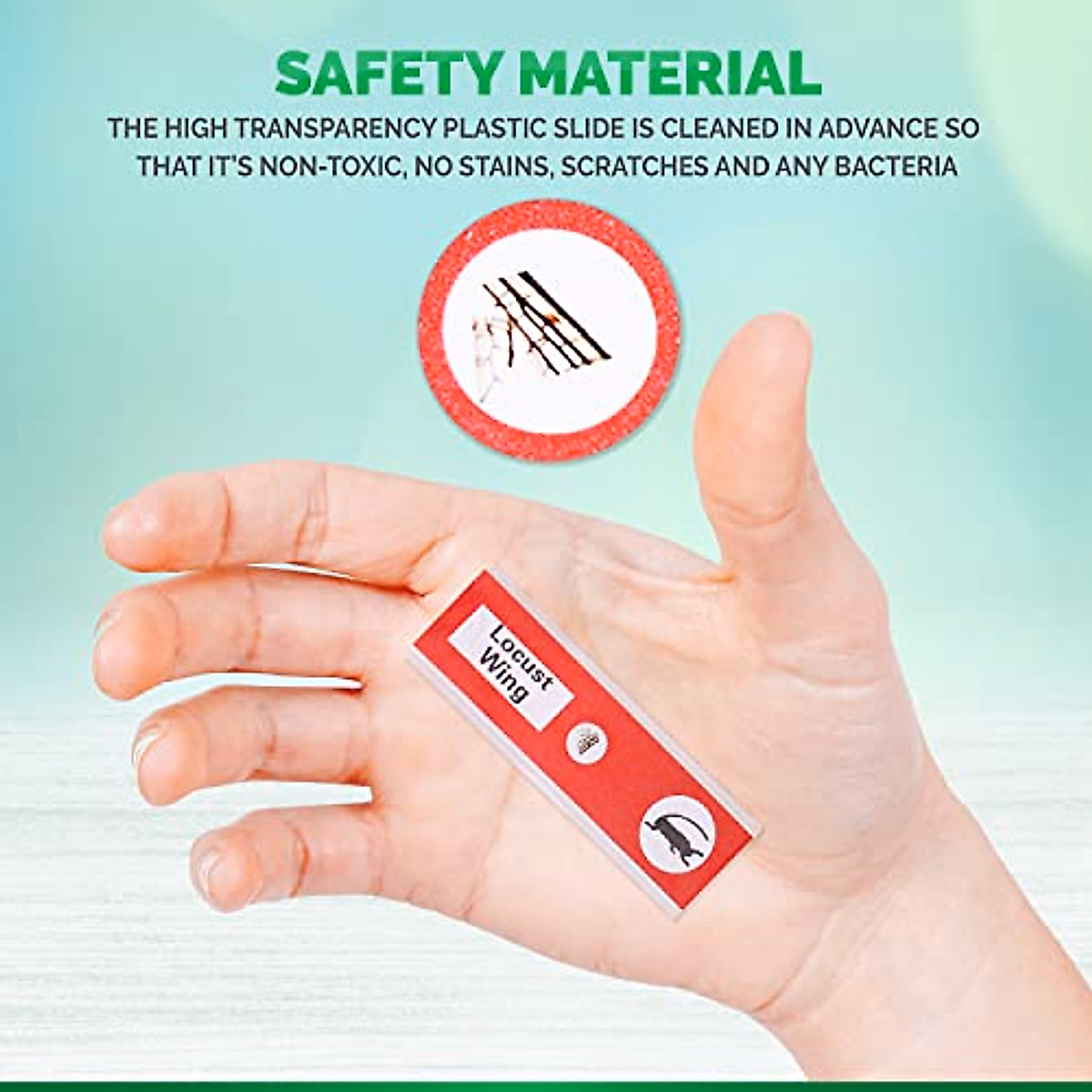 AMSCOPE-Kids 48pcs Kids Plastic Prepared Microscope Slides of Animals Insects Plants Flowers Sample Specimens for Stereo Microscopes