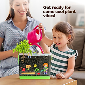 Root Viewer Kit for Kids - Easter Gifts - Grow Your Own Plant for Boys & Girls - Science STEM Toy & Craft Growing Kits for Ages 4-8 Birthday Gifts for Boy, Girl 4, 5, 6, 7, 8, Year Old - Gardening Toy
